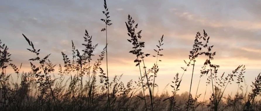 Fluent Meshing 析模界 第2页