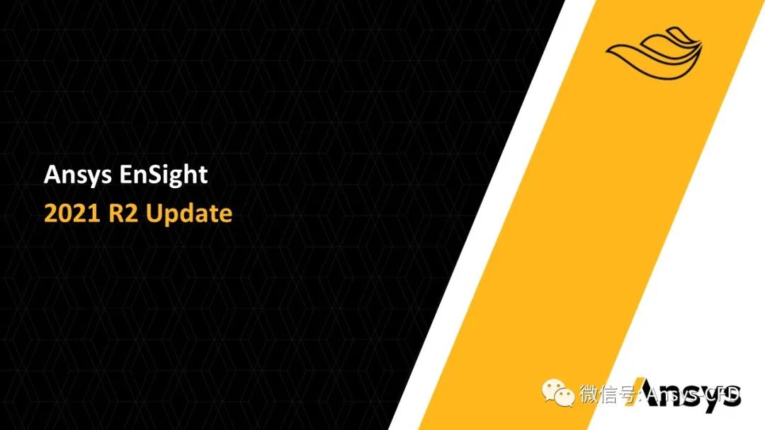 2021R2 Ensight新功能